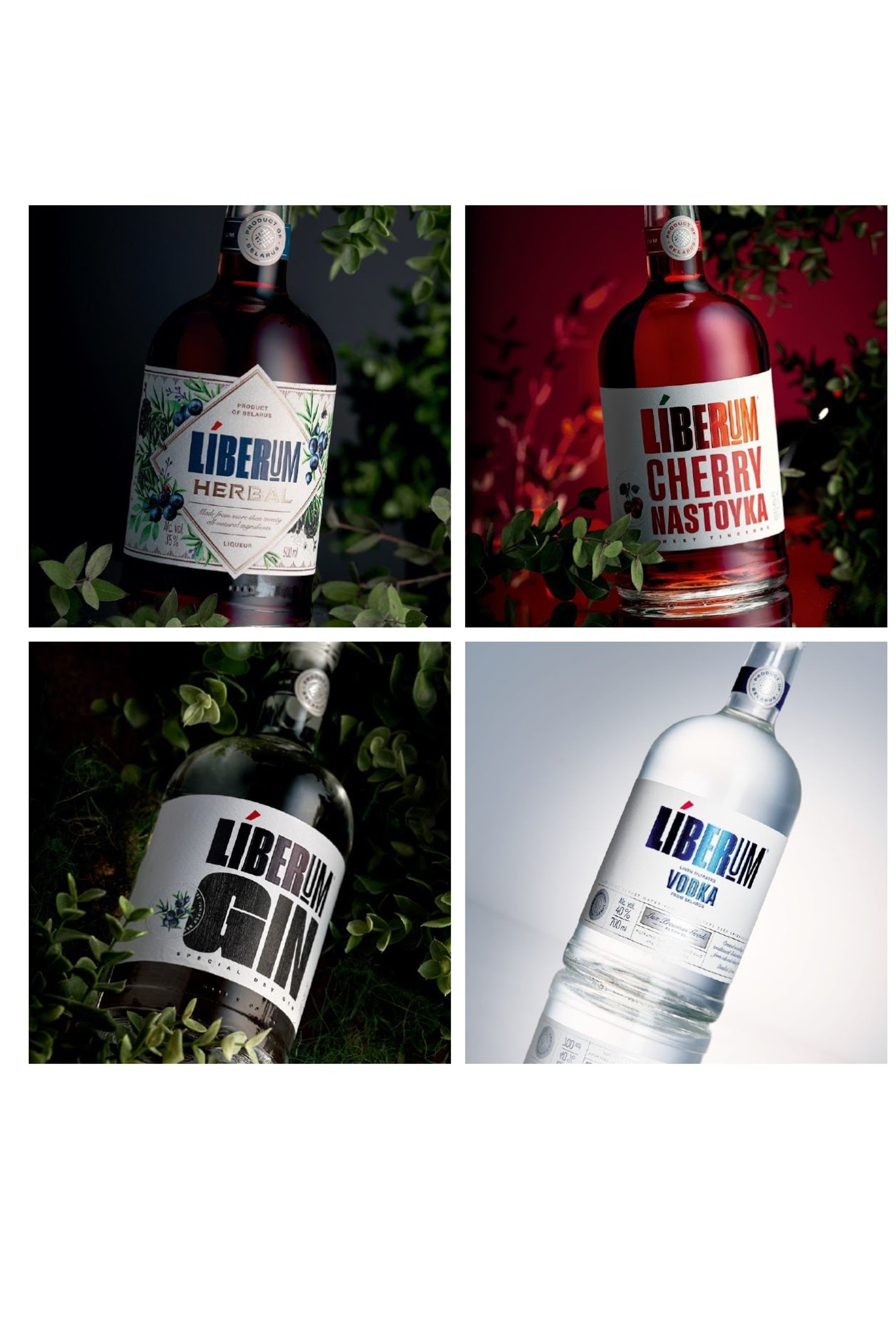 Party Shot Set - 6 Bottles Vodka Barn – Genuss-Scheune